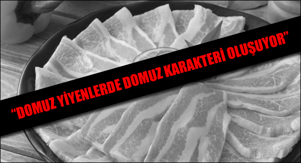 Domuz eti yiyende domuz karakteri