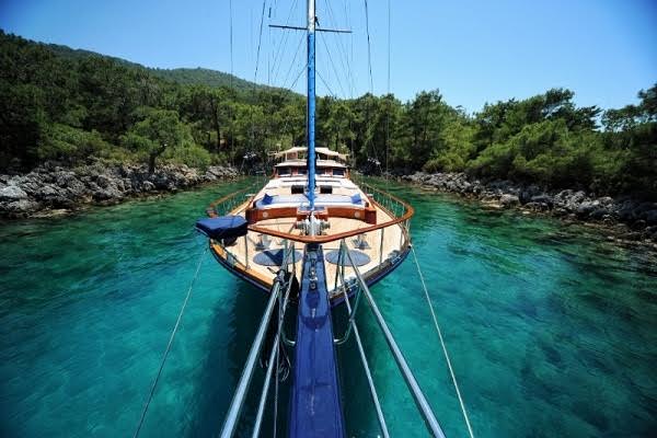 Mavi tur Nedir? kimin eseri